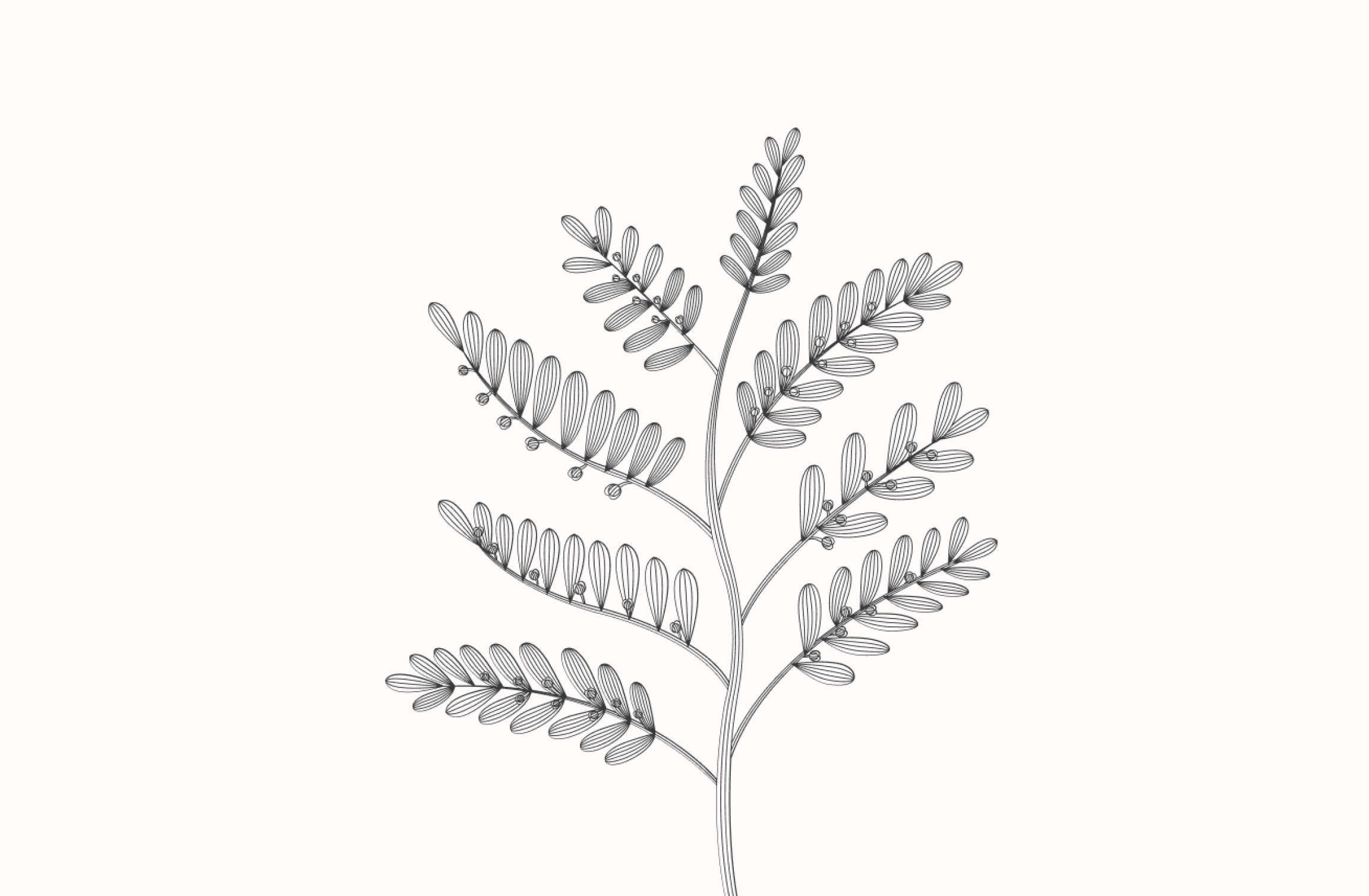 Tamalaki – Durva Life